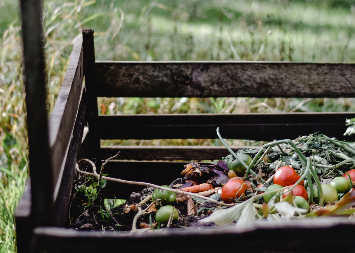 Kompostavimo gairės: kaip žaliąsias atliekas paversti natūralia trąša?